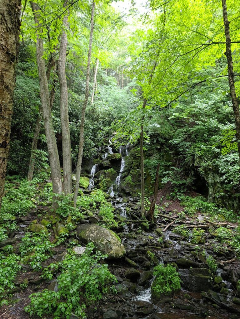 Biking the Delaware & Lehigh Trail, Showcased on Rails-to-Trails ...