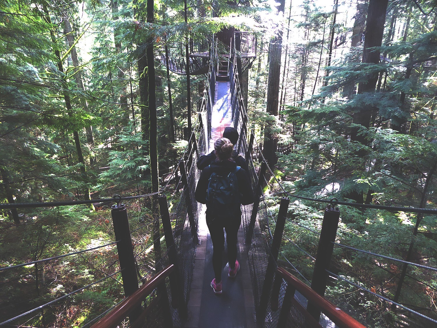 Capilano Suspension Bridge Among Vancouver BC’s Marvelous Attractions ...
