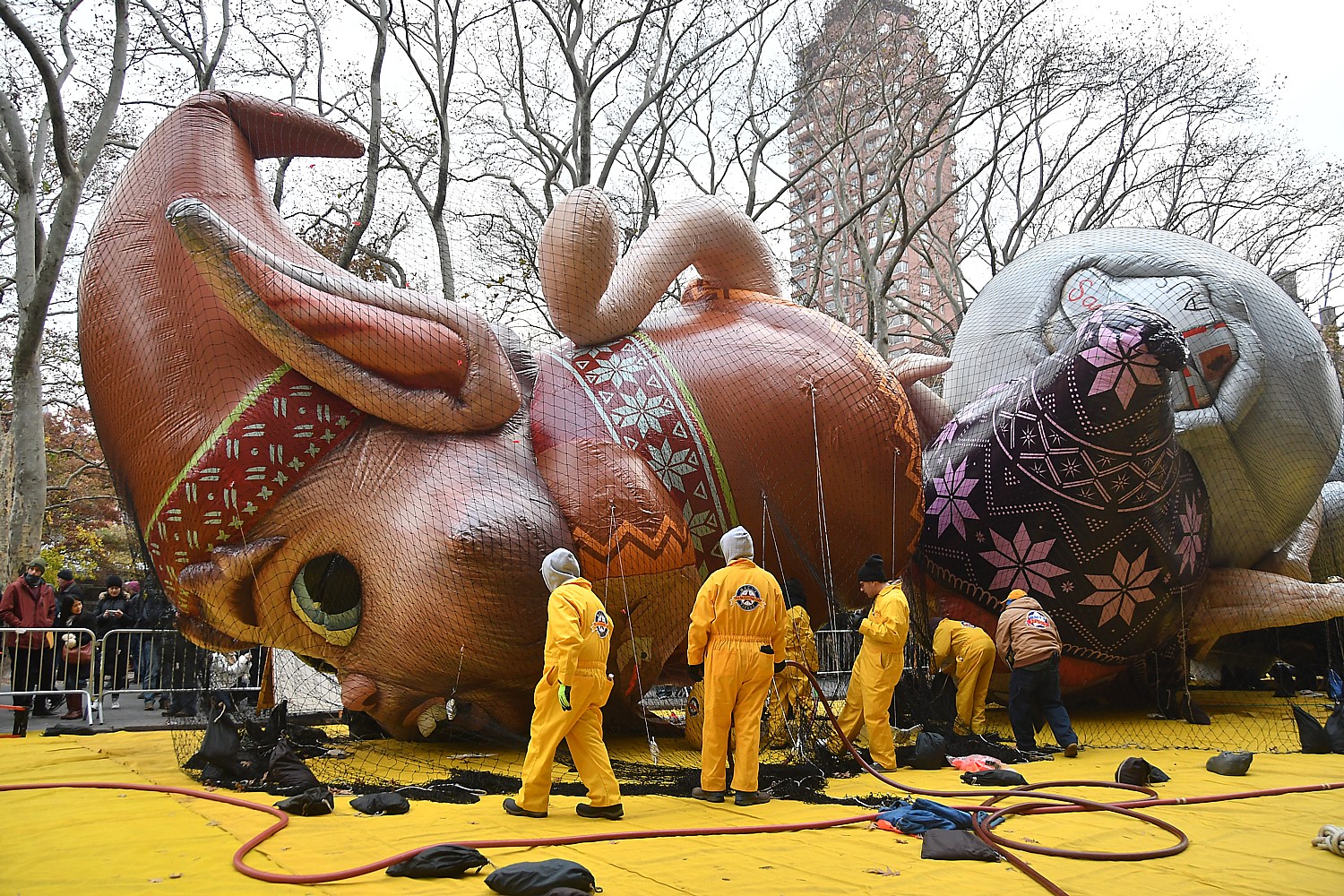 Before the Macys Thanksgiving Parade Comes the Macy’s Balloon Inflation ...